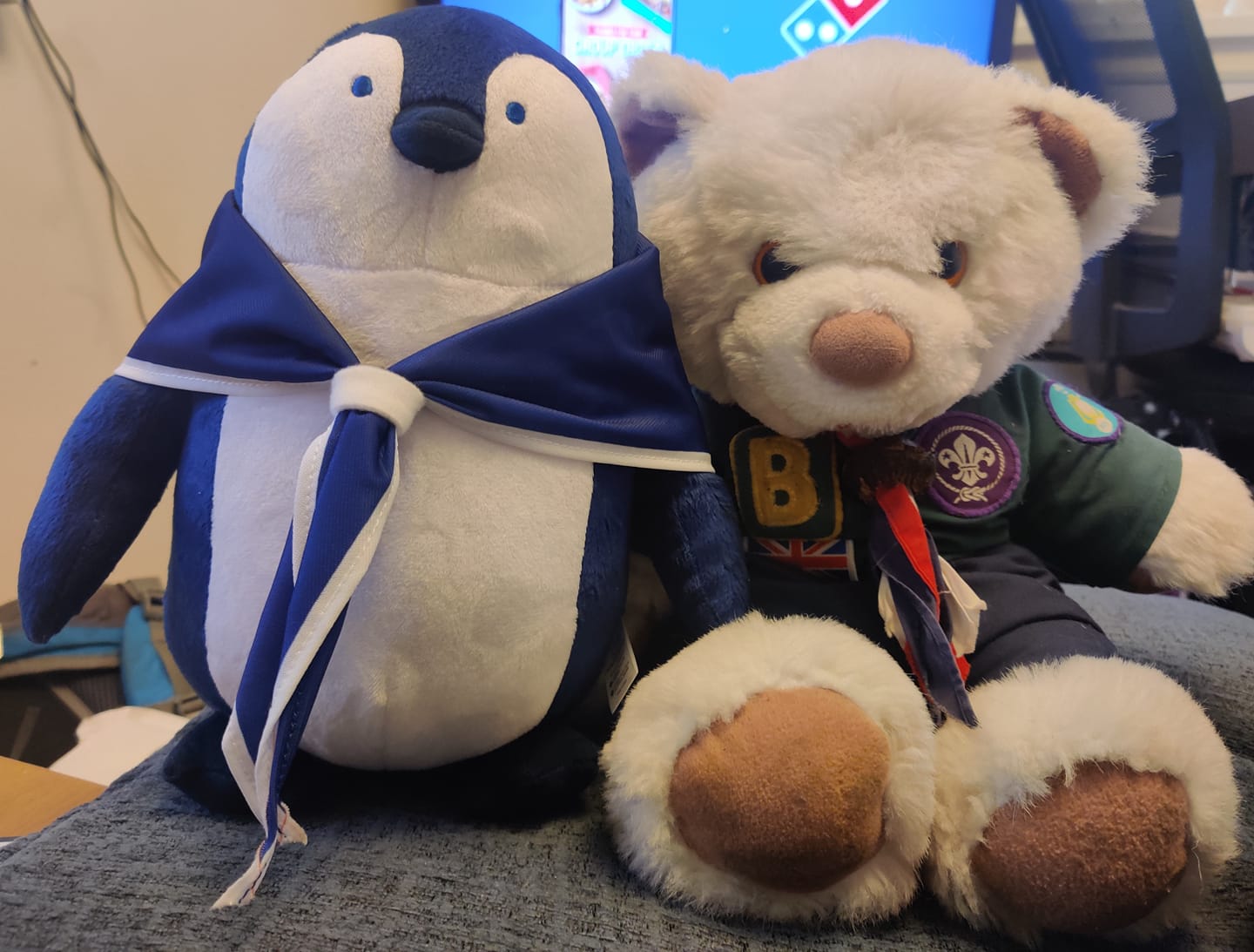 Shackleton The Penguin Photo Gallery – ReQuest2021