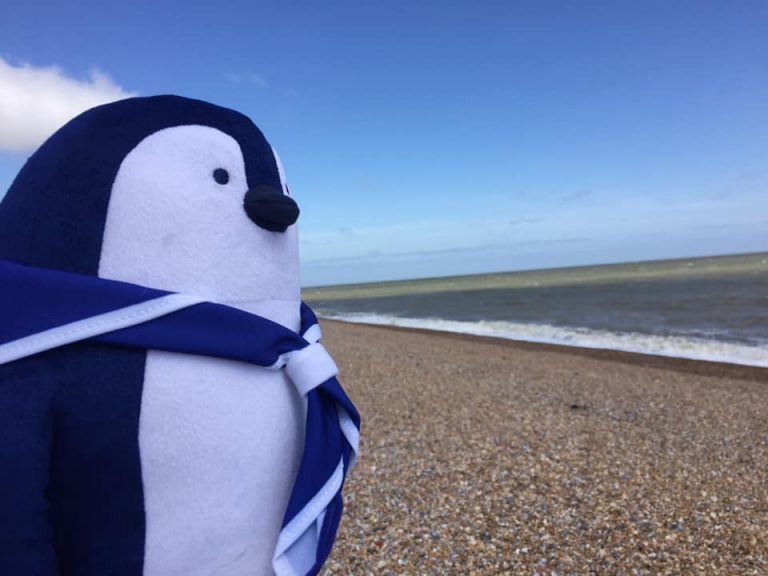 Shackleton The Penguin Photo Gallery – ReQuest2021