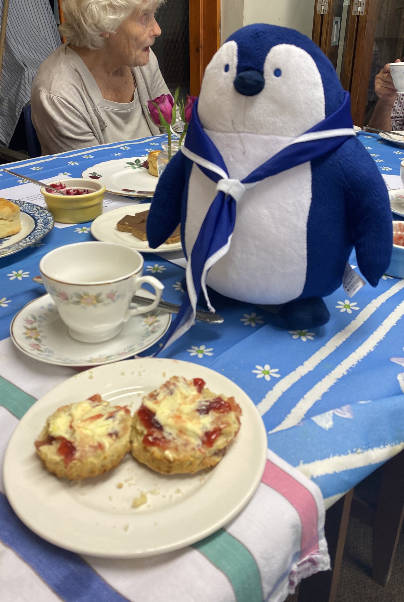 Shackleton The Penguin Photo Gallery – ReQuest2021