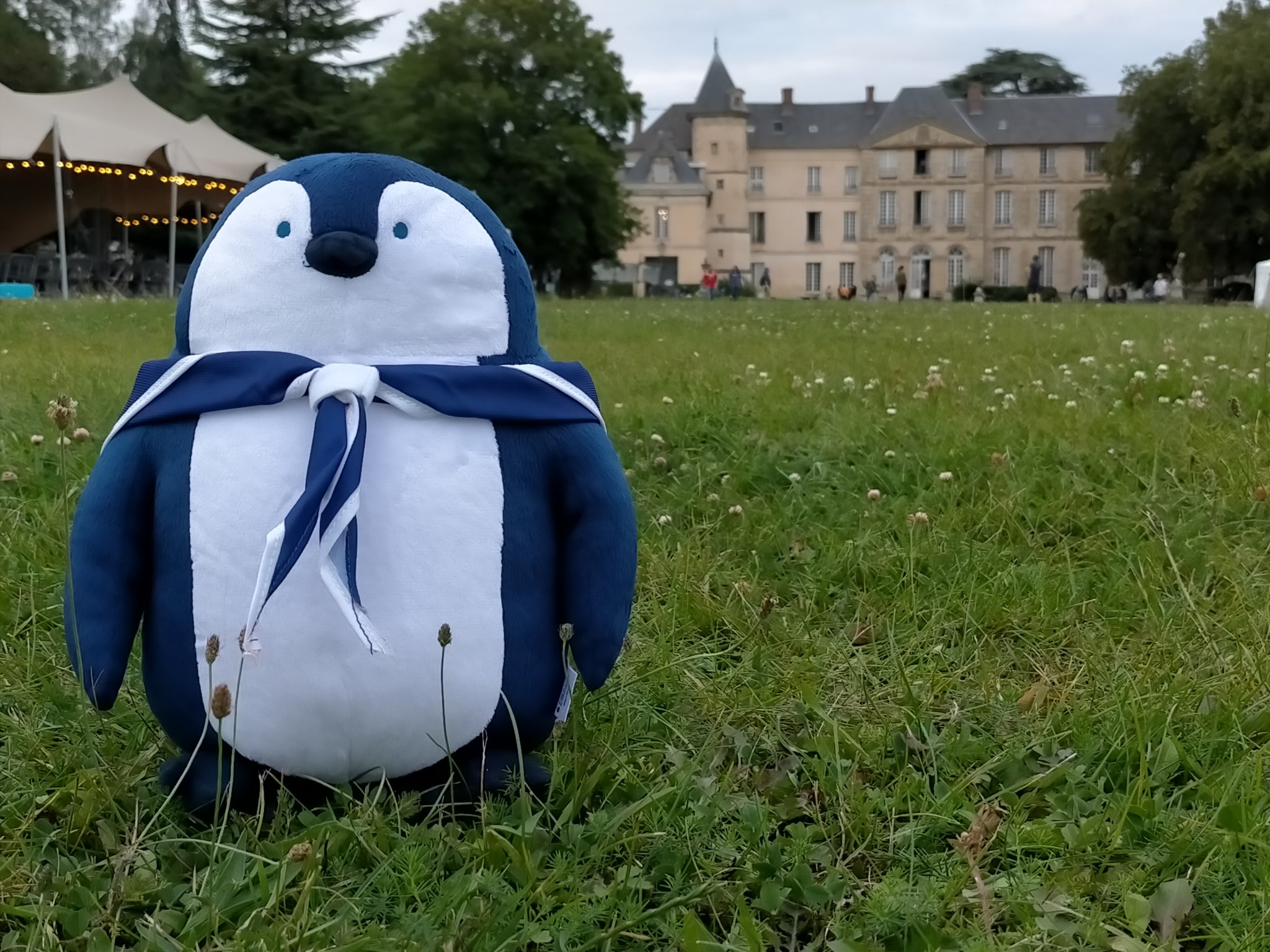 Shackleton The Penguin Photo Gallery – ReQuest2021