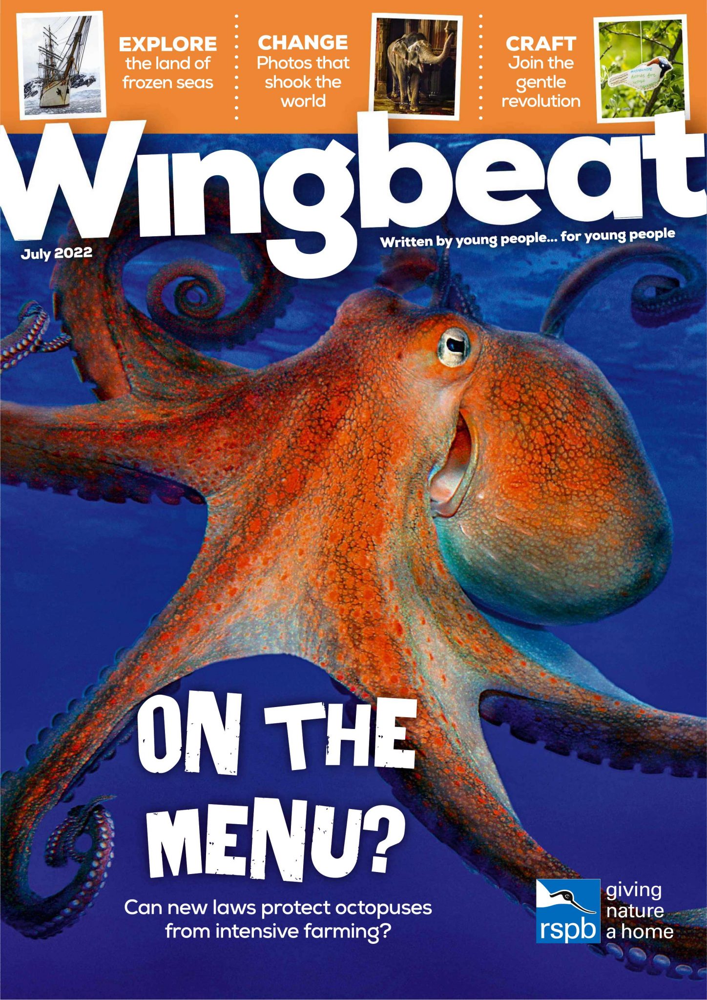 RSPB’s Wingbeat Magazine – ReQuest2021